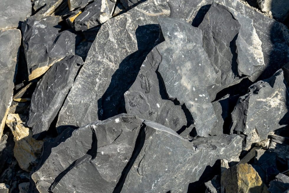 U-Dig Trilobite Quarry: Everything You Need to Know - Millard County ...